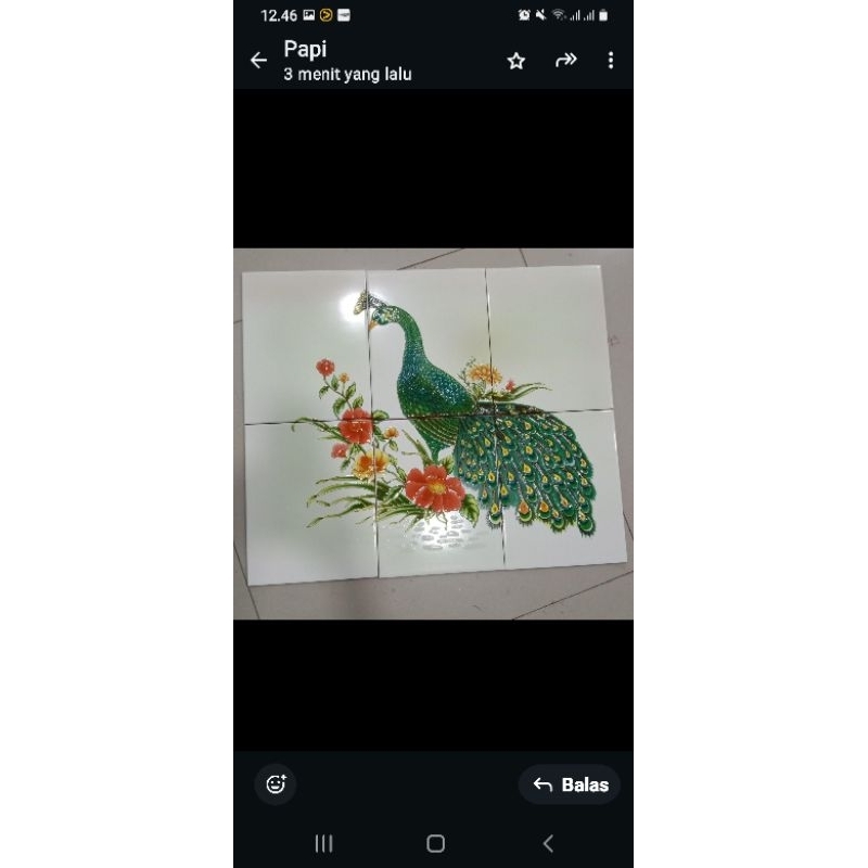 Jual PANEL KERAMIK BURUNG MERAK 6X20X25 + PACKING PALET KAYU | Shopee ...