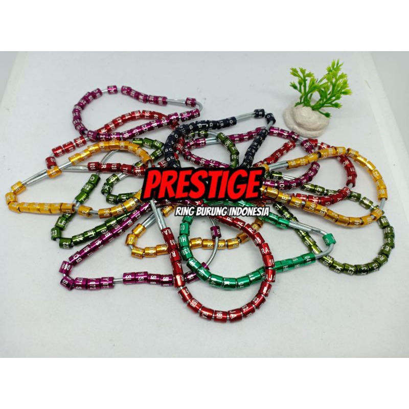 Jual RING SAMPLE 3,0 MM TYPE A UNTUK KENARI CIBLEK CIGUN TLEDEKAN ...