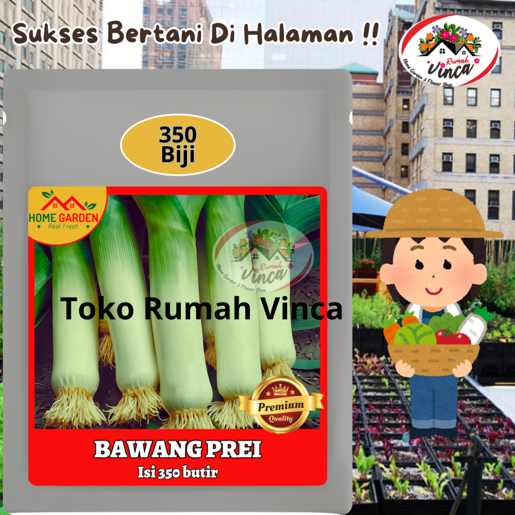 Jual Benih Bibit Bawang Pre Batang 350 Biji Bawang Prei Batang Bawang ...