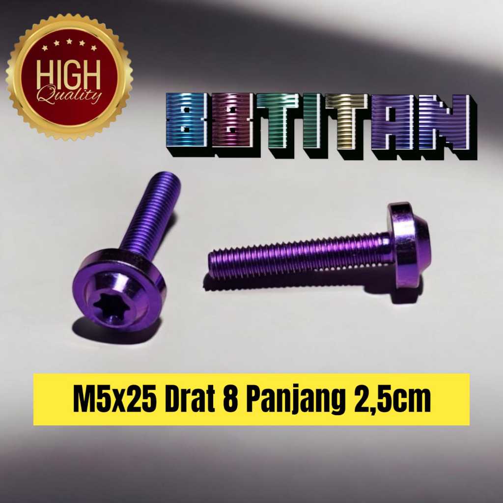 Jual Baut Titanium GR5 M5x25 Drat 8 Panjang 2,5 cm Payung Big Head ...