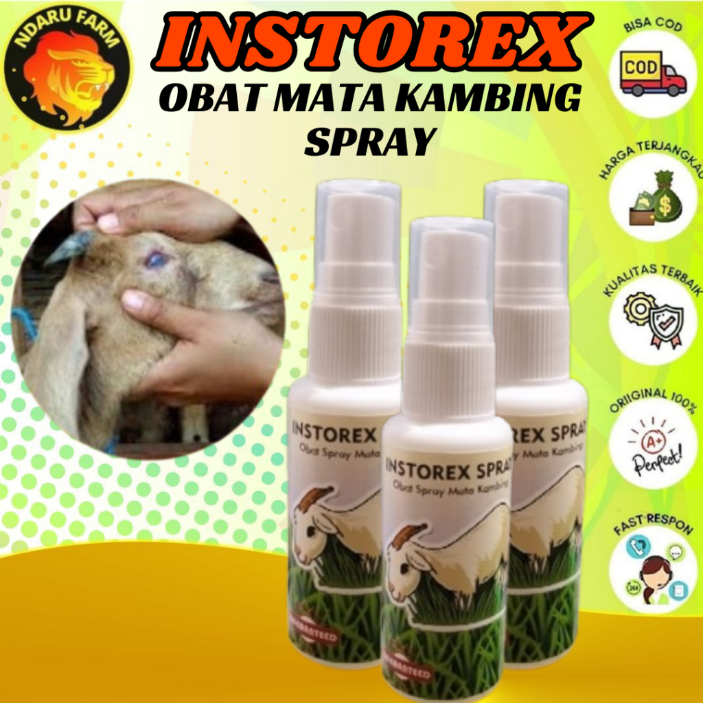 Jual Obat Mata Hewan Sapi dan Kambing Obat Mata Hewan Sapi dan Kambing ...