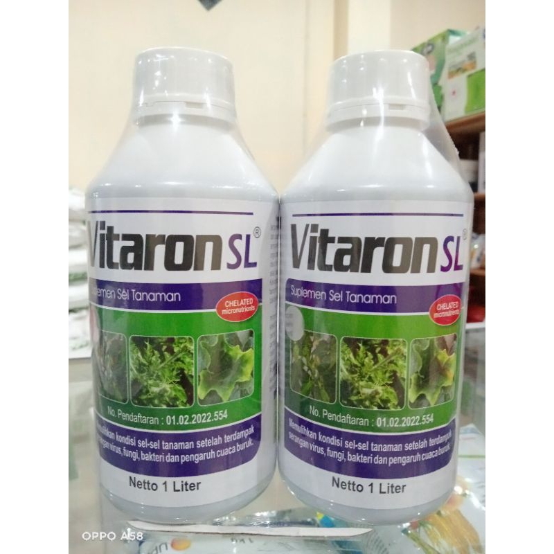 Jual VITARON SL Suplemen Tanaman 1 liter | Shopee Indonesia