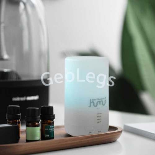 Jual Magic Difuser Diffuser Alat Semprotan Air Moisturizer Pewangi ...