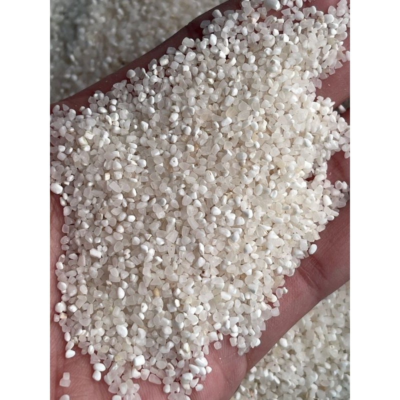 Jual Beras Menir Premium 5Kg & 25kg | Shopee Indonesia