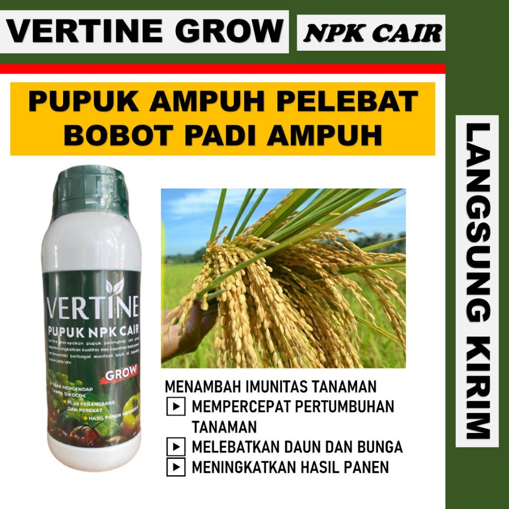 Jual PUPUK PELEBAT PADI MURAH VERTINE 500ML - Pupuk Ampuh Melebatkan Padi dan Berbobot - Pupuk ...