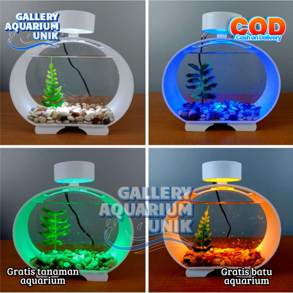 Jual Aquarium / Akuarium mini soliter ikan cupang ikan hias plus batu ...