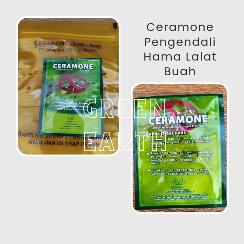 Jual Ceramone atraktan pengendali hama lalat pada tanaman buah dan ...