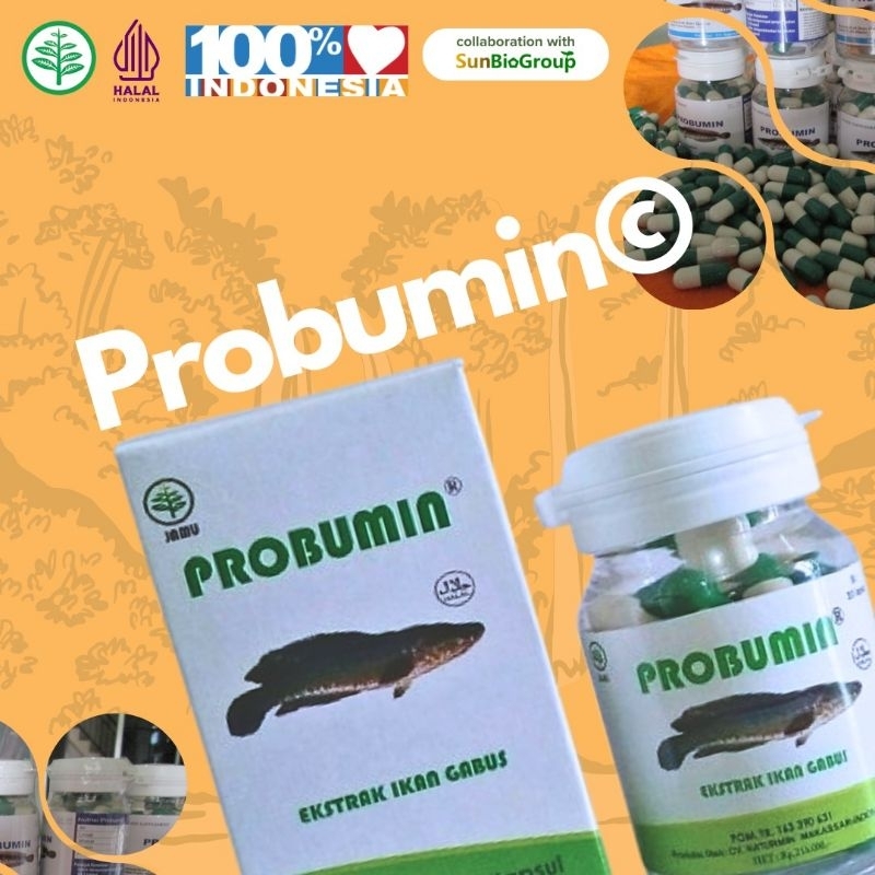 Jual Probumin - Konsentrat Protein Albumin Ikan Gabus 100% ORIGINAL ...