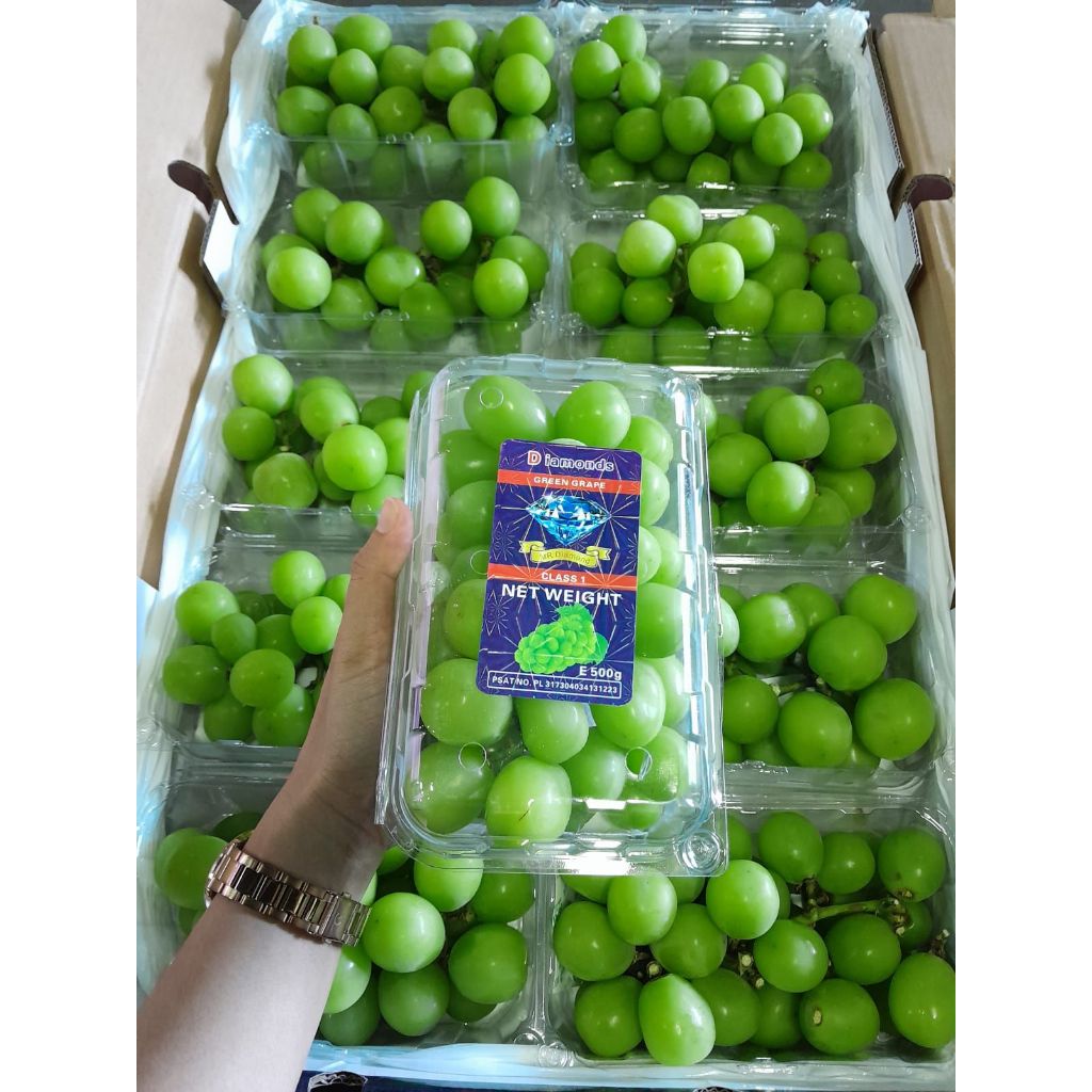 Jual Anggur Muscat (PACK) | Shopee Indonesia