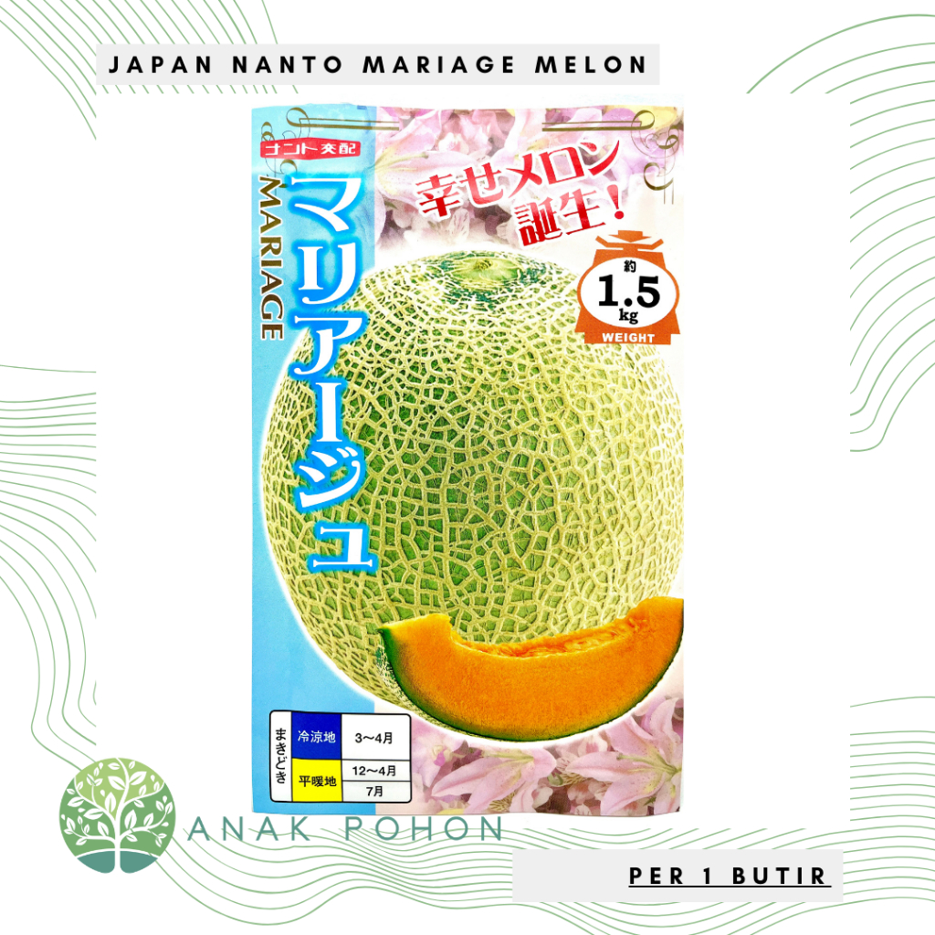 Jual Benih Bibit Biji - Japan Nanto Mariage Melon Seeds - IMPORT JAPAN ...