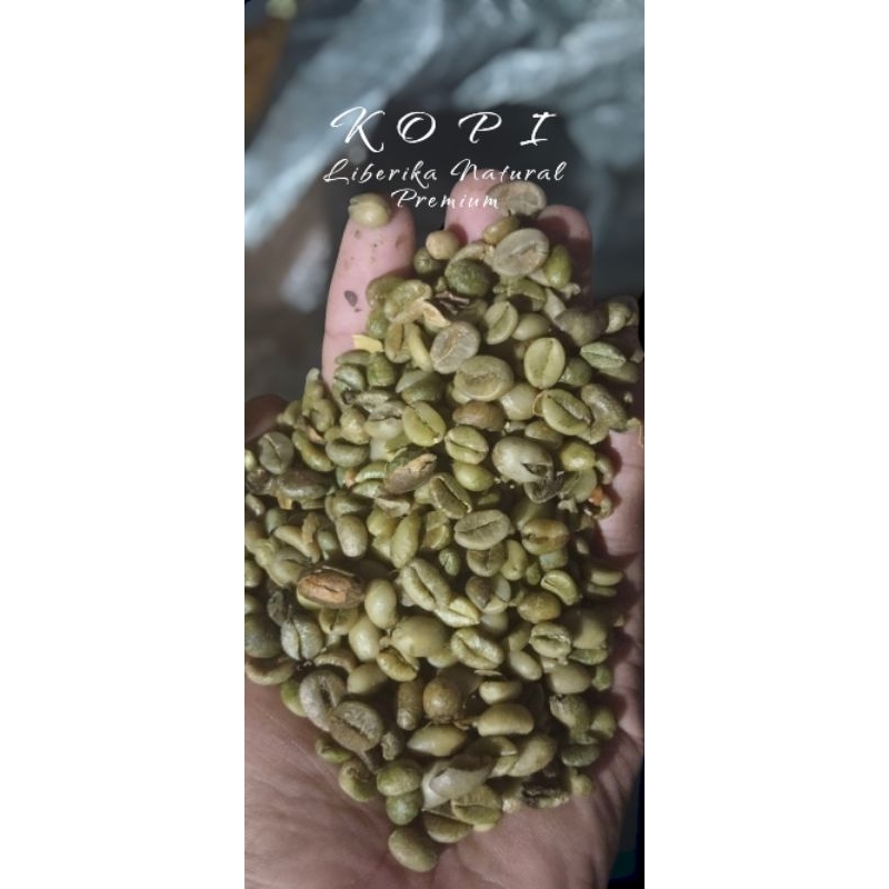 Jual Green Been Biji Kopi Liberika | Kopi Nangka 1 kg | Shopee Indonesia