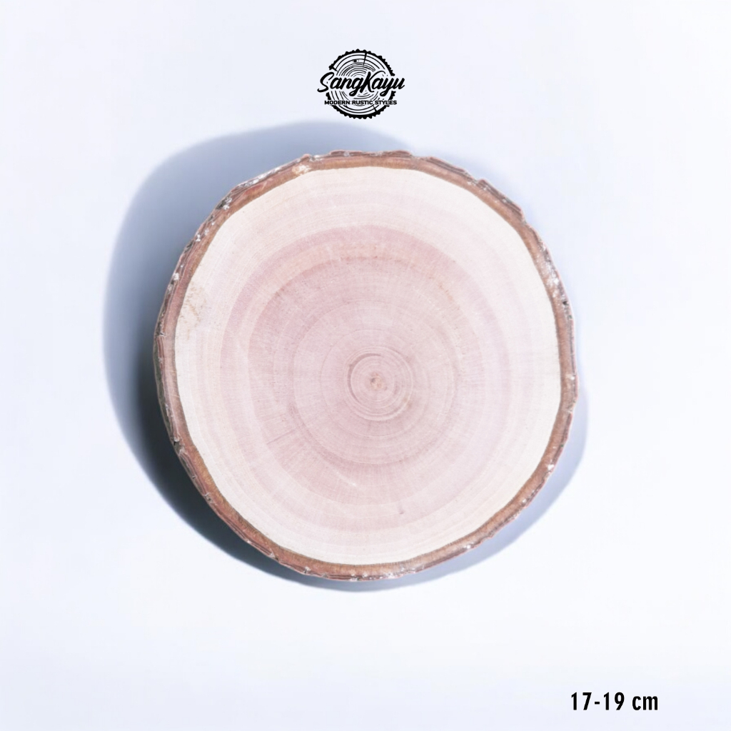 Jual SangKayu Wood Slice 17-19 cm Hiasan Dinding Potongan Kayu Craft ...