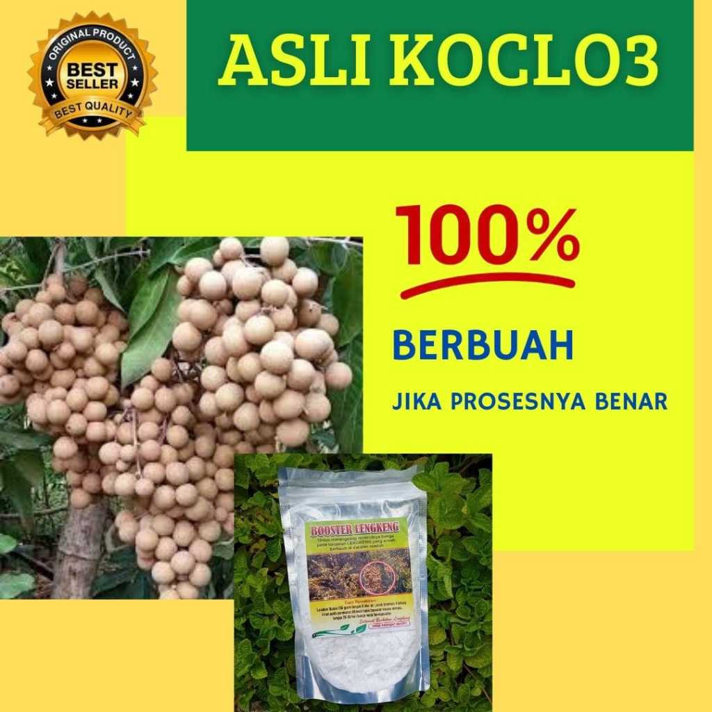 Jual Booster lengkeng untung bunga dan buah, booster lengkeng murni ...