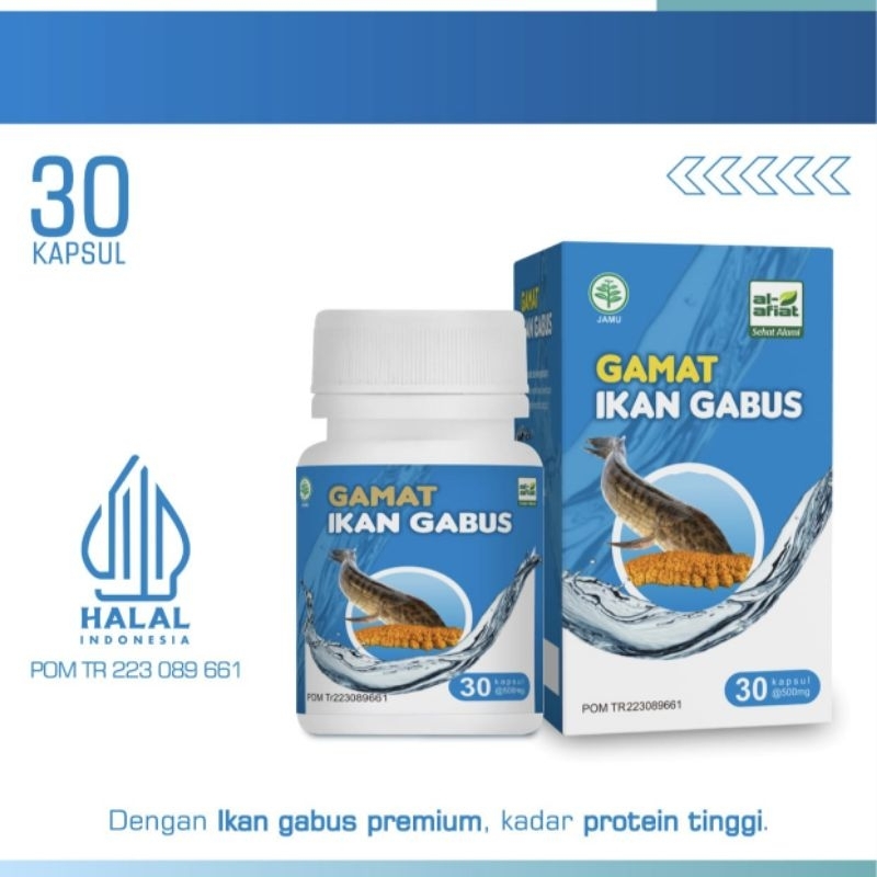 Jual Gamat Ikan Gabus 30 kapsul | Shopee Indonesia