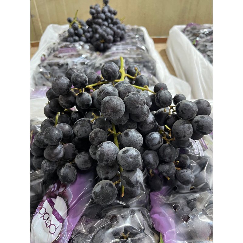 Jual Anggur Hitam Summer Royal Australia 1 Dus (8.5 Kg) Fresh Import ...