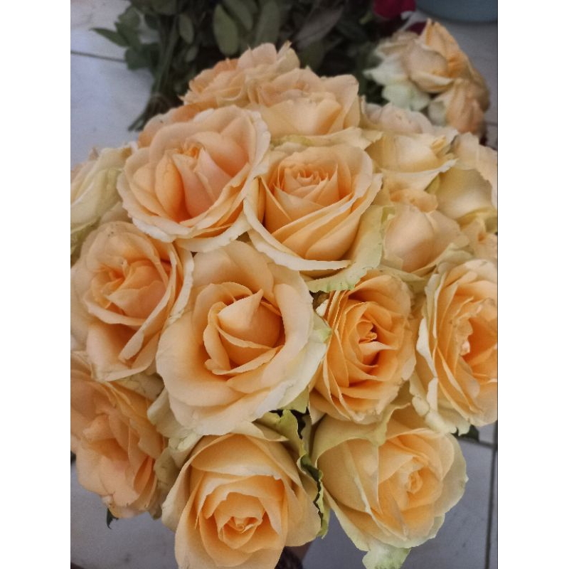 Jual Bunga Mawar Potong Warna Peach Salem Grade B | Shopee Indonesia