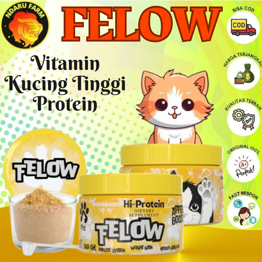 Jual Vitamin Kucing Cat Kitten Adult Suplemen Nutrisi Makanan Harian ...
