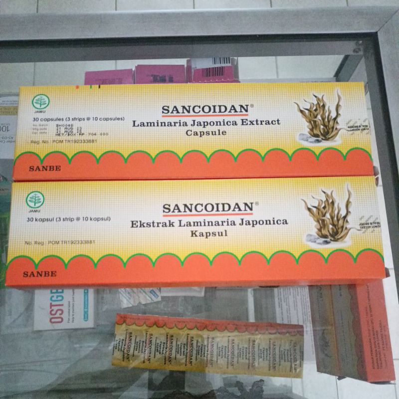 Jual sancoidan box | Shopee Indonesia