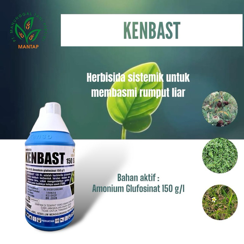 Jual KENBAST 150 S/L 1 LITER HERBISIDA | Shopee Indonesia