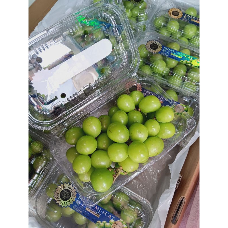 Jual ANGGUR IJO SHINE MUSCAT PACK 500GR | Shopee Indonesia