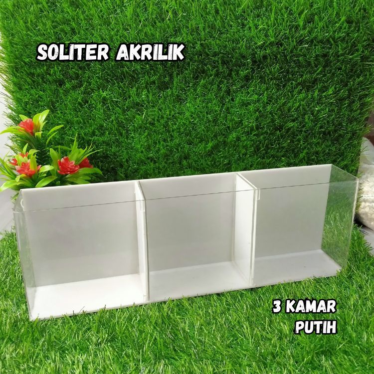 Jual Promo Soliter Akrilik Cupang 3 Kamar Akuarium Cupang Bahan Full ...