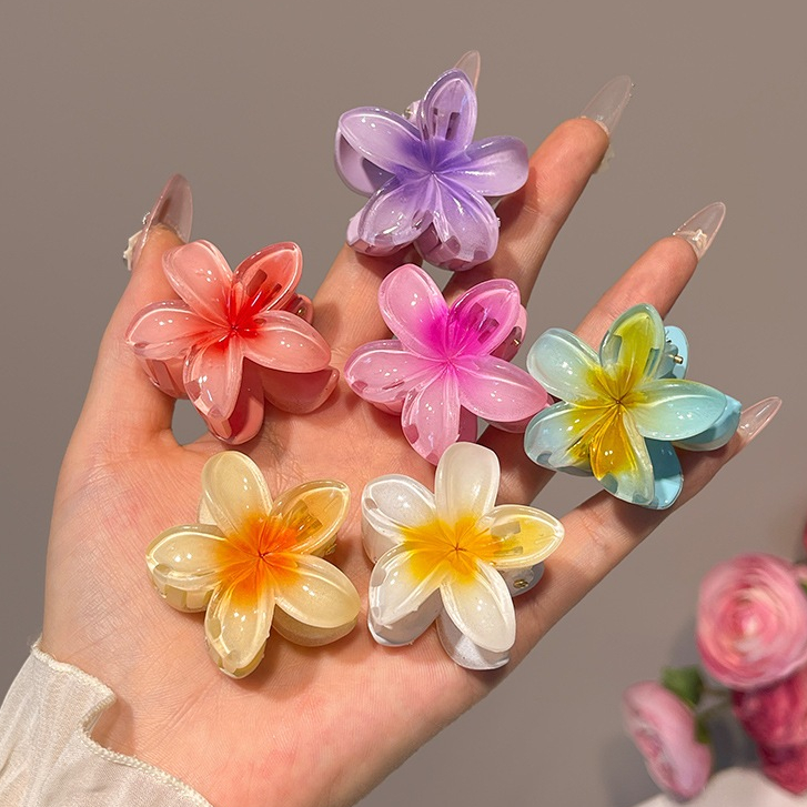 Jual Jepit Rambut Model Bunga Kamboja Mini 4 Cm Jepitan Jedai Akrilik Aksesoris Rambut Gaya ...