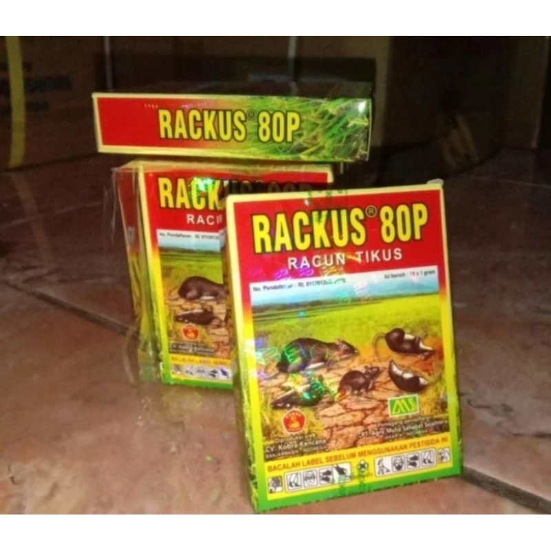 Jual racun tikus rackus 80p | Shopee Indonesia