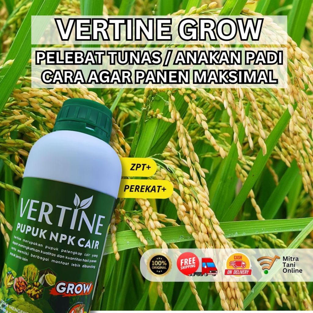 Jual Vertine Grow – Pupuk NPK Cair Premium untuk Panen Padi Lebat, Tahan Hama & Maksimal ...