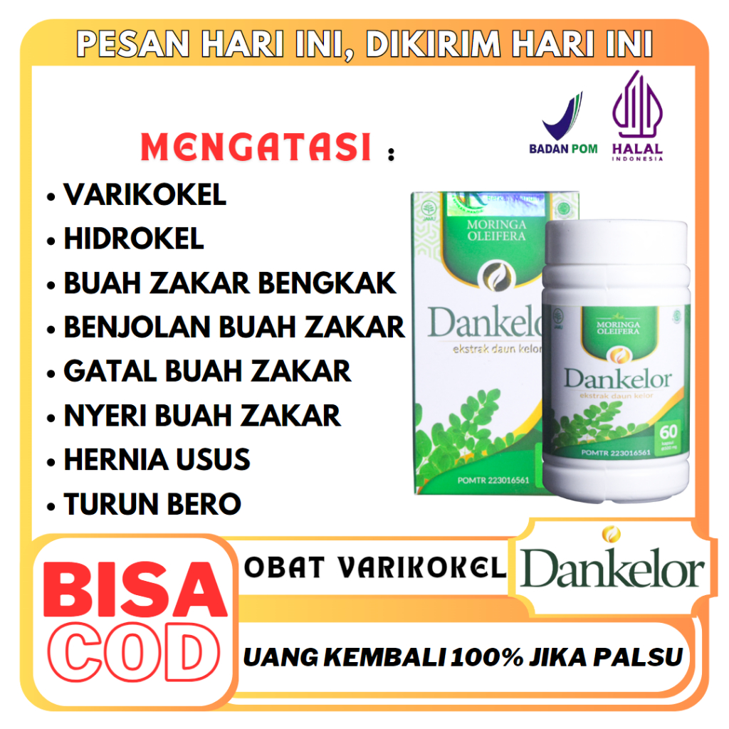 Jual Obat Varikokel Buah Zakar Bengkak Gatal Kantong Buah Zakar ...