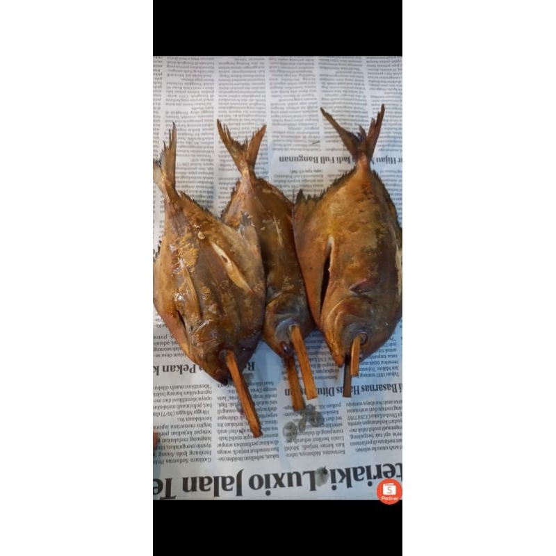 Jual Ikan Dorang Asap | Fresh frozen 450-500gr | Shopee Indonesia