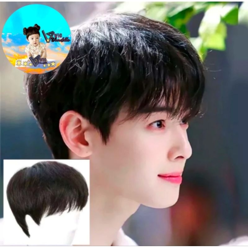 Jual WIG PRIA KOREA/WIG MODEL COWOK KOREAN | Shopee Indonesia