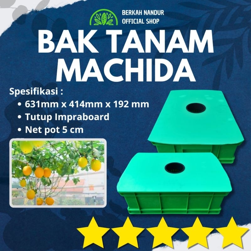Jual Bak Tanam Machida Hidroponik Tempat Tanam Melon Machida Tempat ...