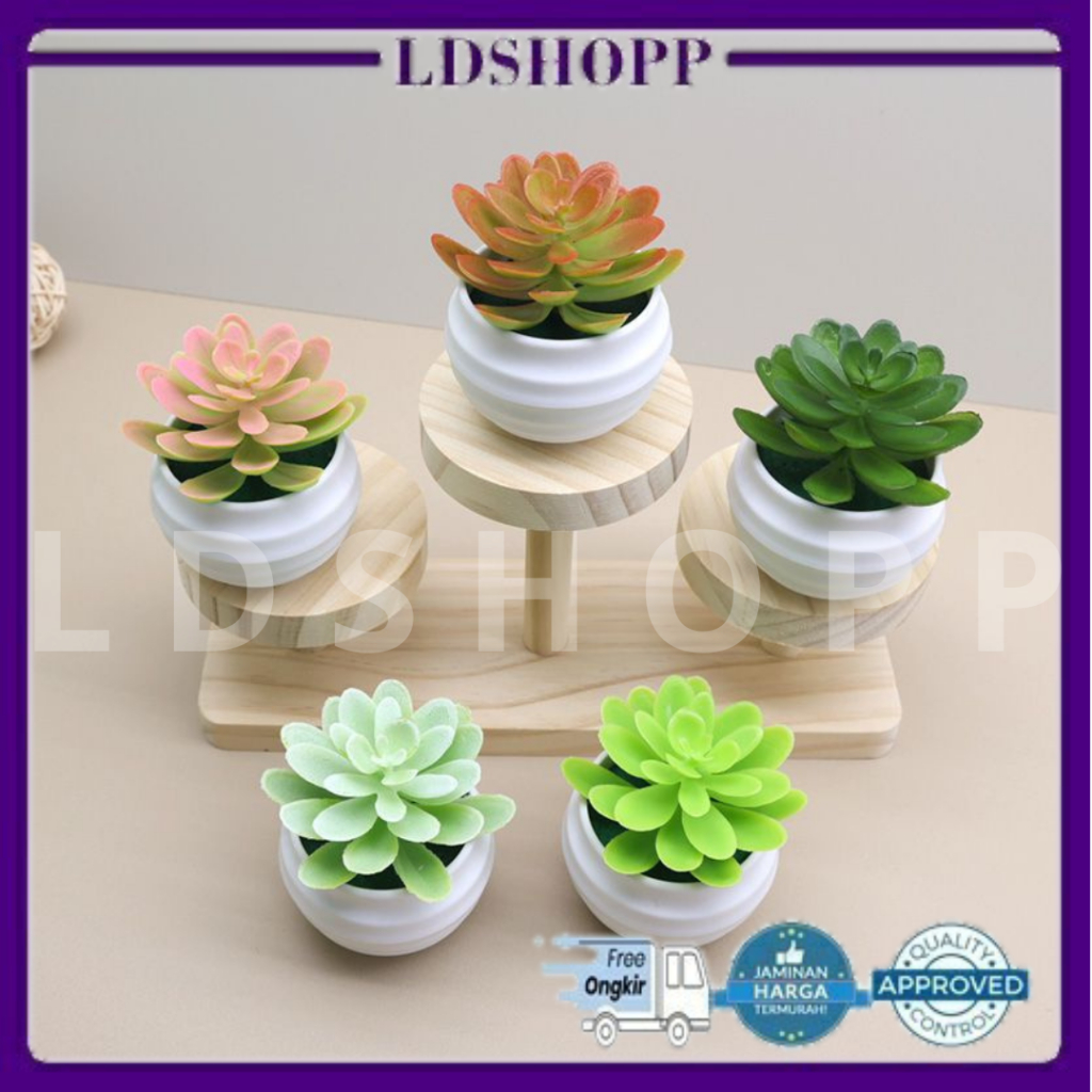 Jual LDS POT89 Tanaman Hias Bunga Succulents Mini Artificial Plastik ...