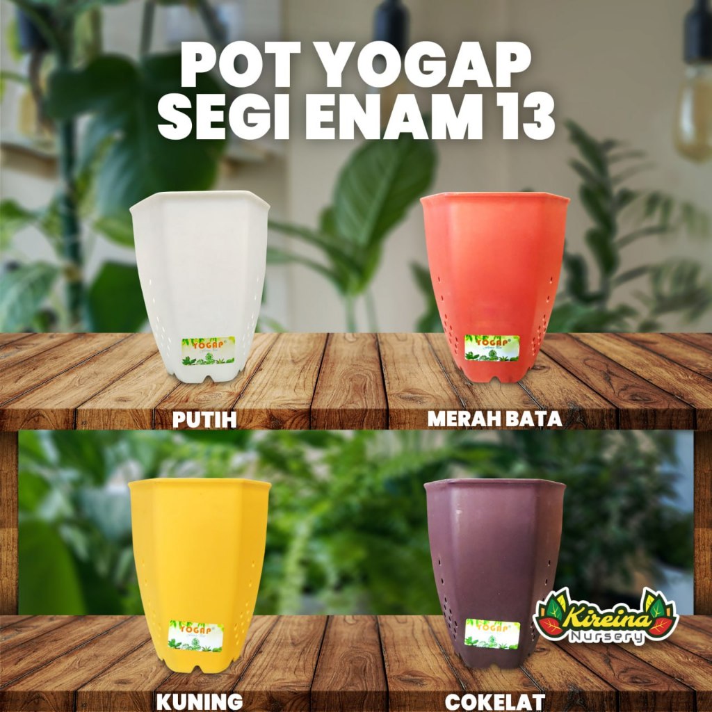 Jual Pot Yogap Segi Enam 13 | Shopee Indonesia