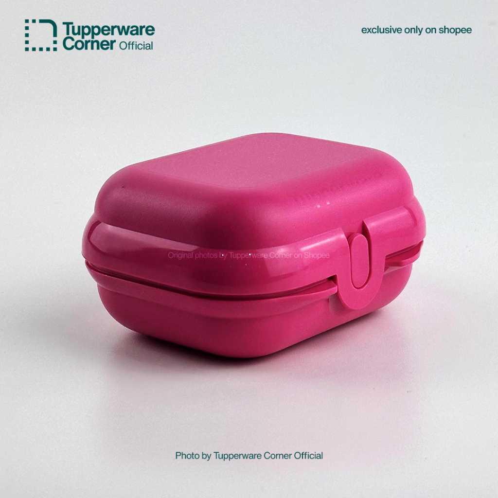 Jual Tupperware SMALL OYSTER TUPPERWARE UK. 9,7 X 8,5 X 5 CM | Shopee ...
