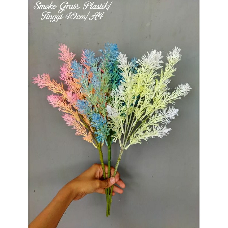 Jual Tanaman Rumput Laut Smoke Grass 2068 | Shopee Indonesia