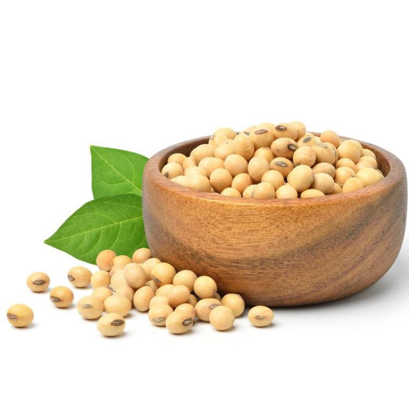 Jual KEDELAI BOLA IMPORT 1KG / KEDELAI IMPORT AMERIKA ASLI DELE BOLA ...