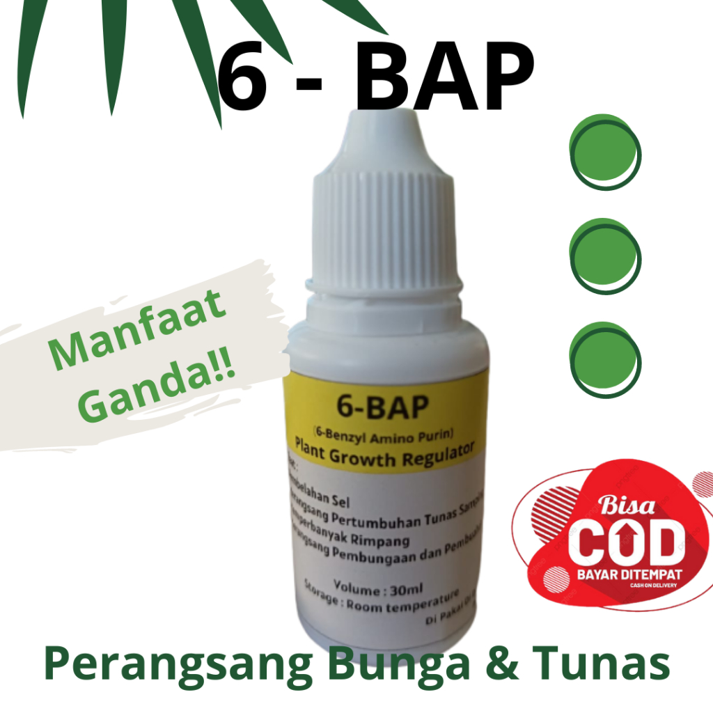 Jual Hormon Pembungaan Anggrek 6-BAP | 6 BAP Untuk Membungakan Dan ...