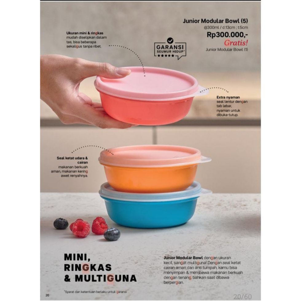 Jual TUPPERWARE JUNIOR MODULAR BOWL (5) 300ML - WADAH SNACK SERBAGUNA ...