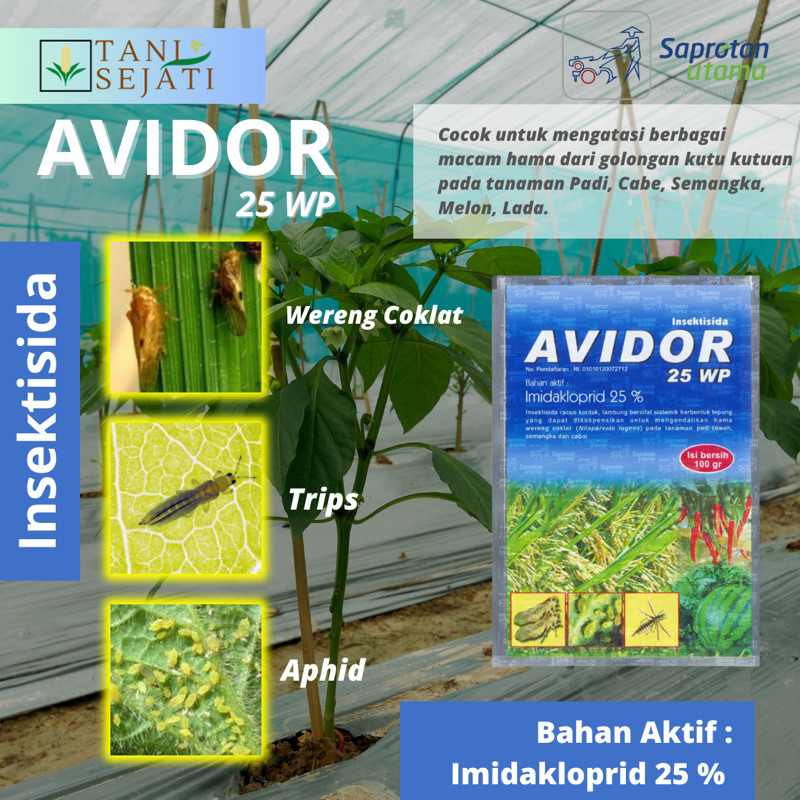 Jual Avidor 25 WP Insektisida Racun Kontak Lambung bersifat Sistemik ...