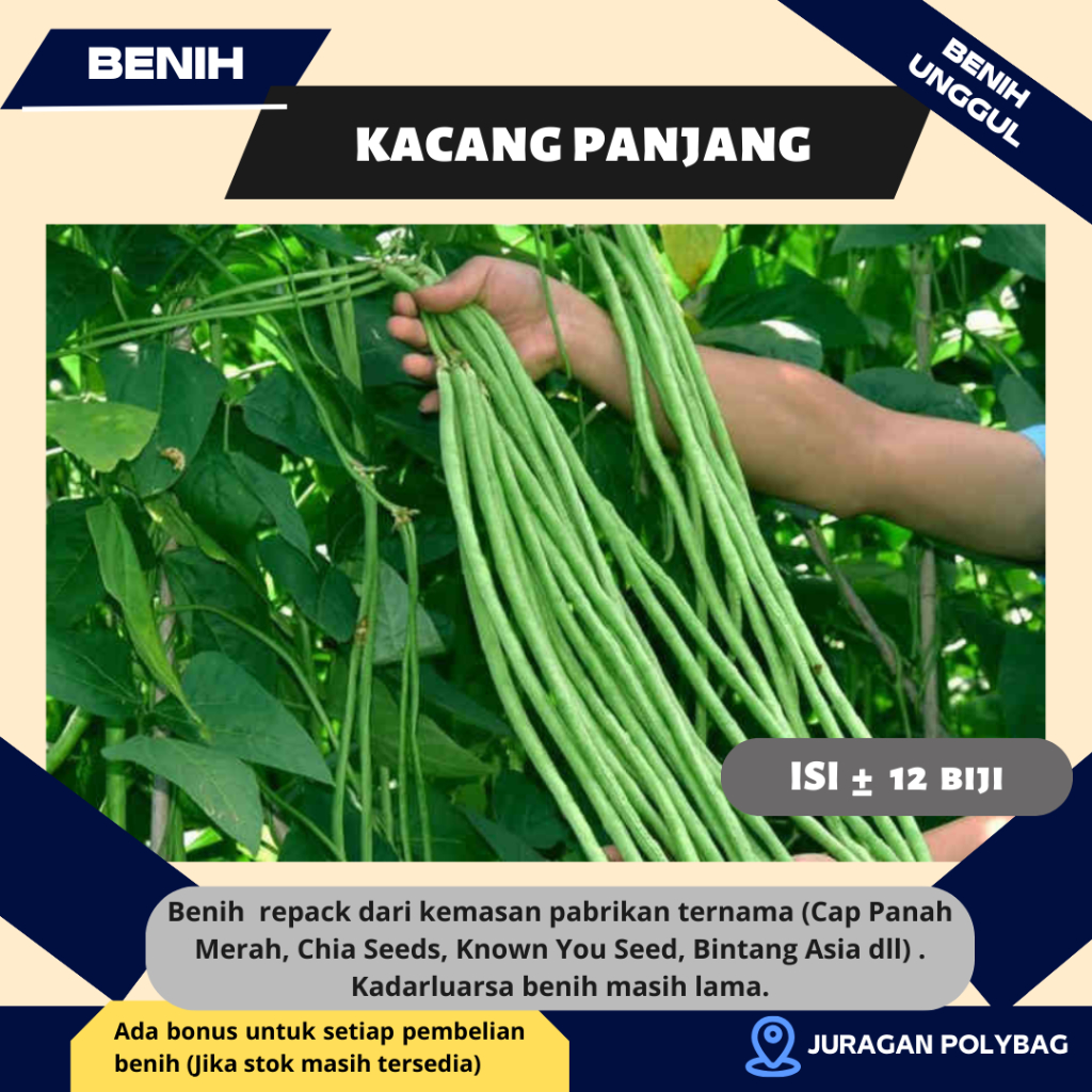 Jual 12 Benih Kacang Panjang hibrida Unggul | Shopee Indonesia