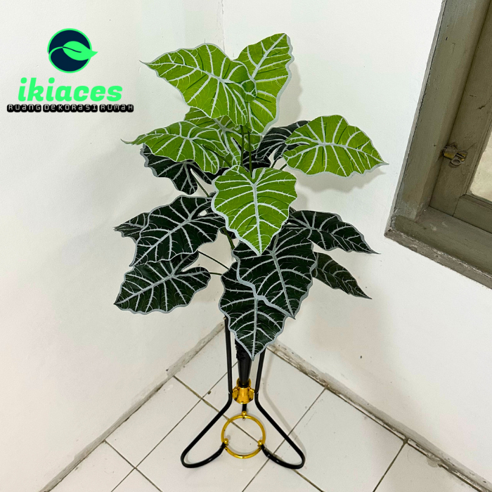 Jual DAUN AGLONEMA ARTIFICIAL JUMBO DAUN PLASTIK POT 1 METER DEKORASI ...