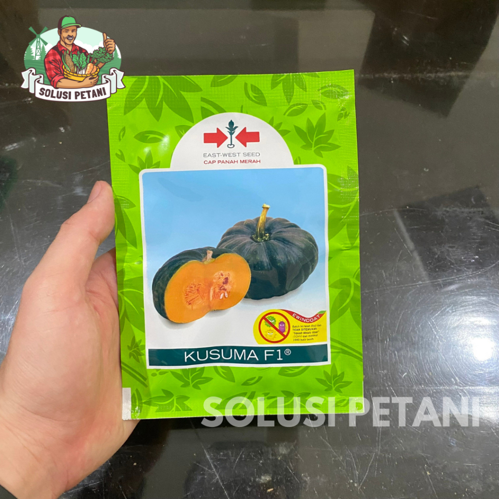 Jual Benih Labu Manis Besar Kusuma F1 95 Butir Panah Merah | Shopee ...