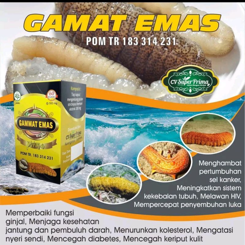 Jual gamat emas | Shopee Indonesia