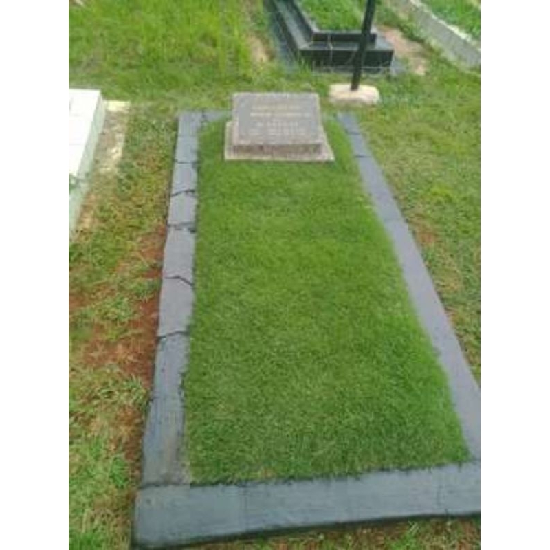 Jual Paket Rumput Jepang Untuk Makam 2 X 1 Umum Di Pemakaman Siap Tanam ...