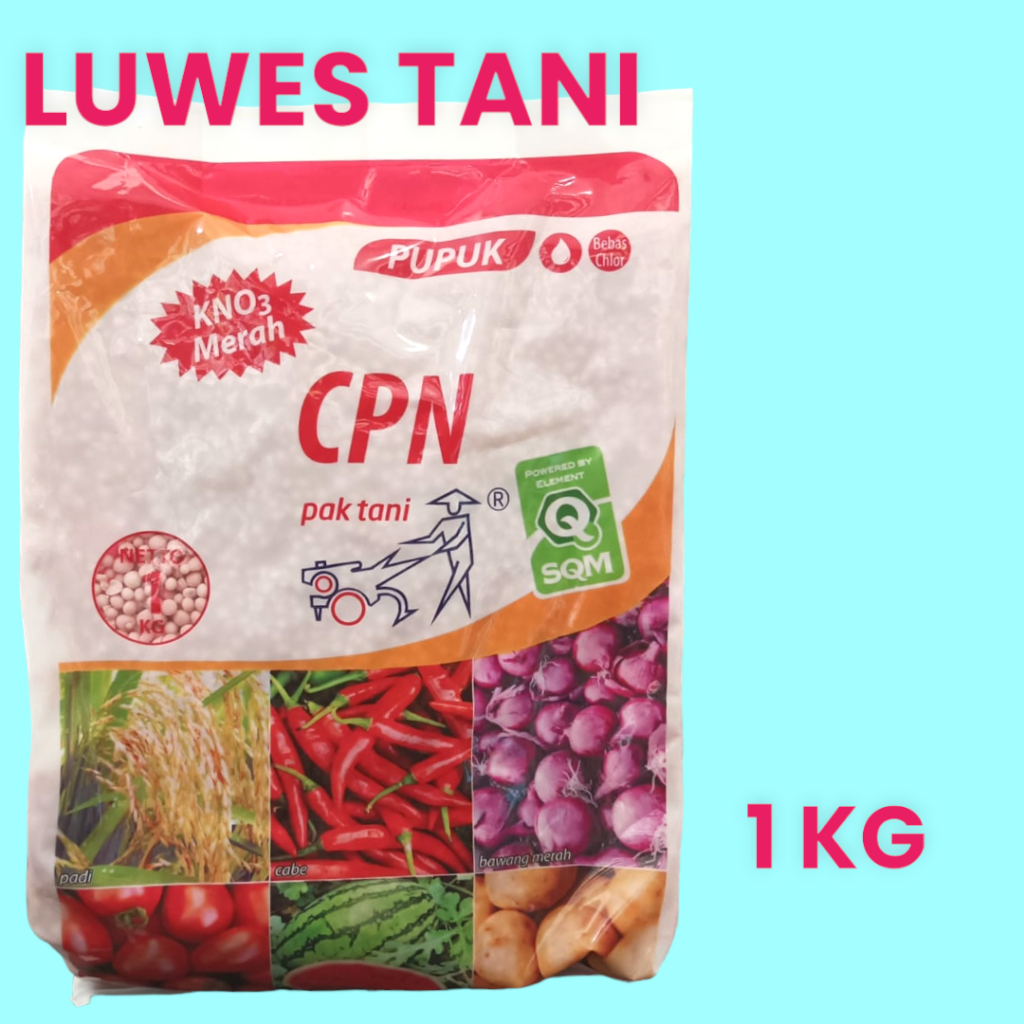 Jual kno3 merah 1 kg CPN prill asli kemasan pabrik | Shopee Indonesia