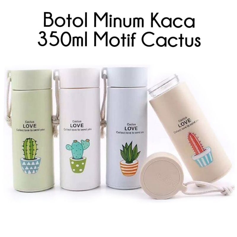 Jual Botol Cactus Botol kaktus 350ml (non box) | Shopee Indonesia