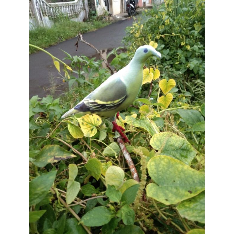 Jual JONTROT PATUNG BURUNG PUNAI HIJAU pikat mikat | Shopee Indonesia