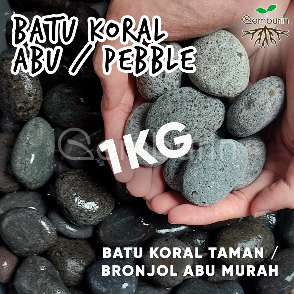 Jual Batu Koral Abu 1 Kg / Pebble Stone / Batu Bronjol Abu Taman ...