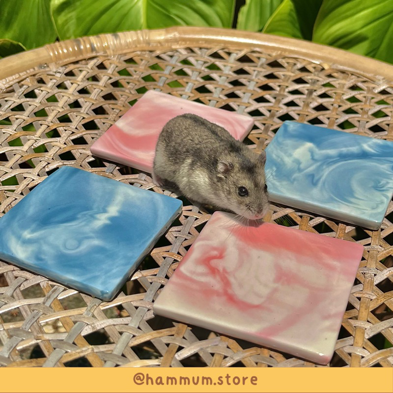 Jual COOLING PAD HAMSTER (WARNA PREMIUM) | Alas Tidur Hamster Dwarf ...